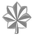 Ltcol Insignia